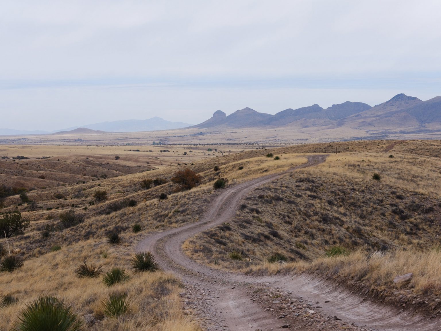 Studio Ma — Architecture, Environmental Design and Planning — Phoenix