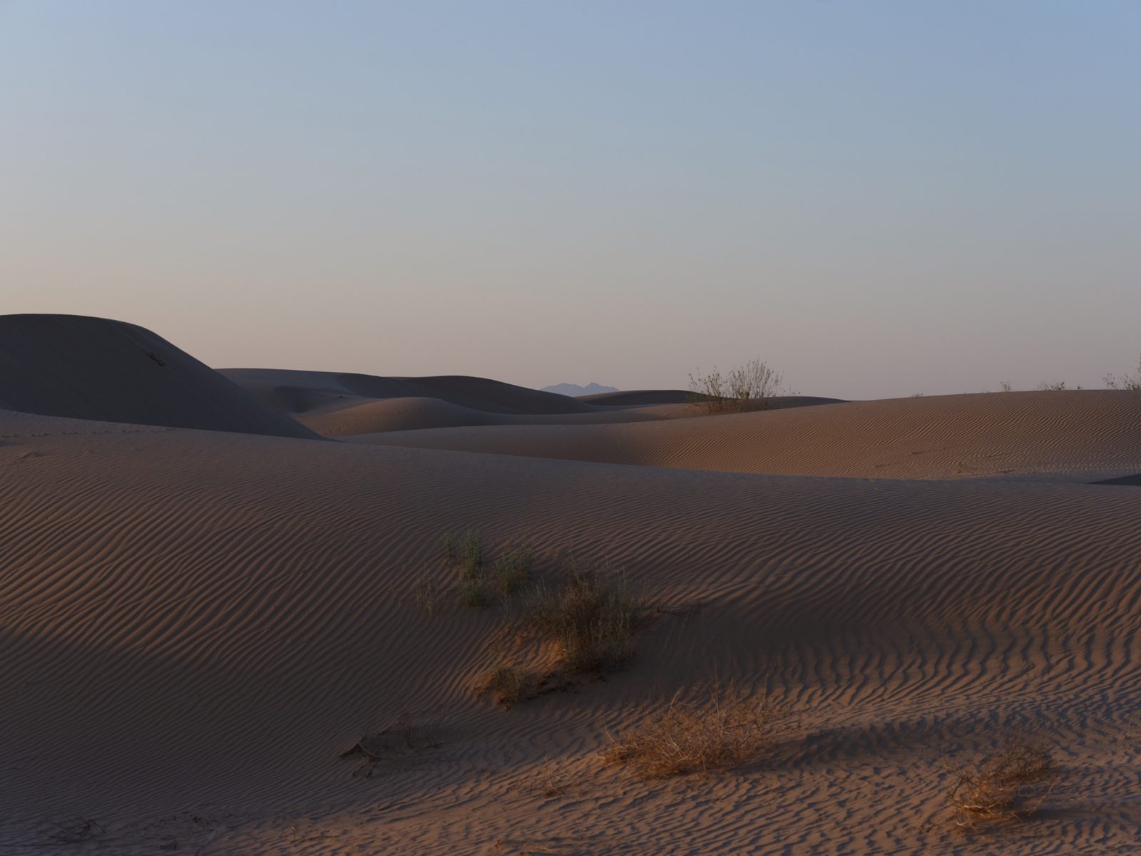 Studio Ma — Architecture, Environmental Design and Planning — Phoenix